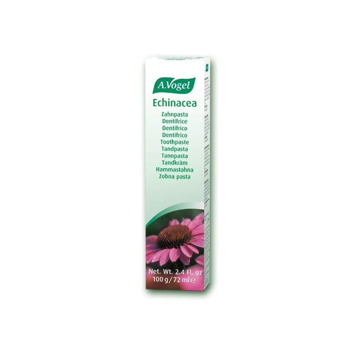 A.Vogel Echinacea Toothpaste 100g | Organico Bantry